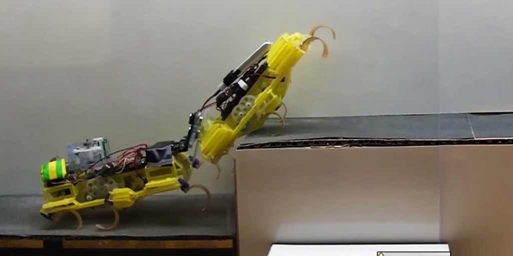 Recentemente foram criados mini-robôs que correm, voam e conseguem ...